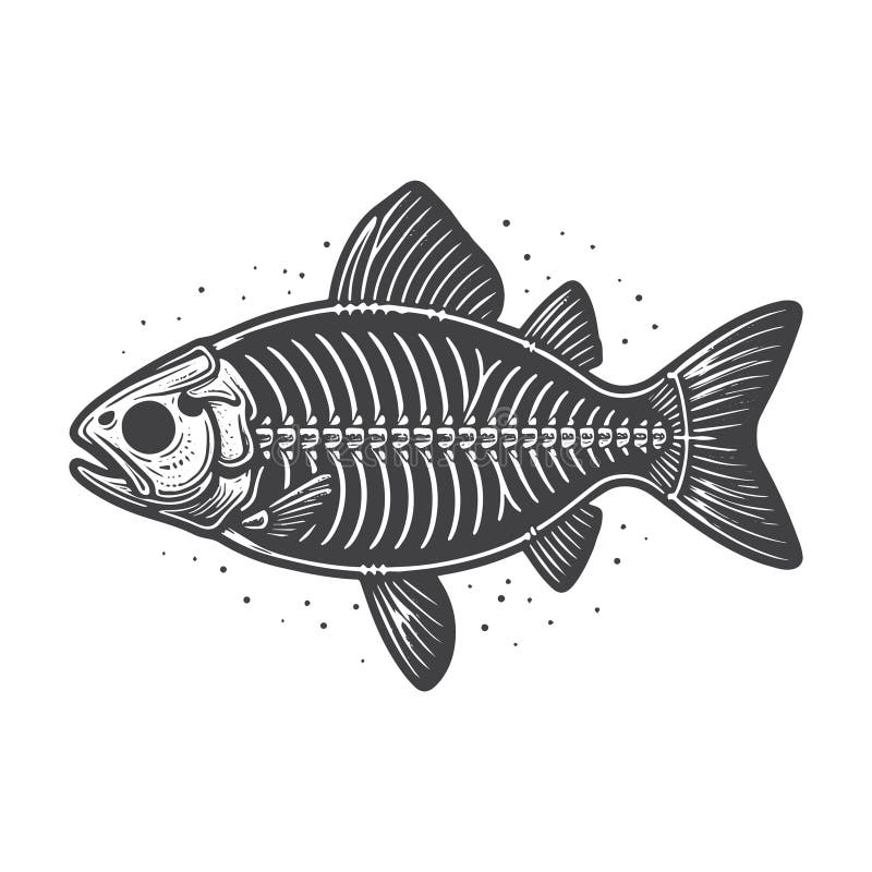 Trout Skeleton Side View Vintage Retro Vector Icon Logo Illustration ...