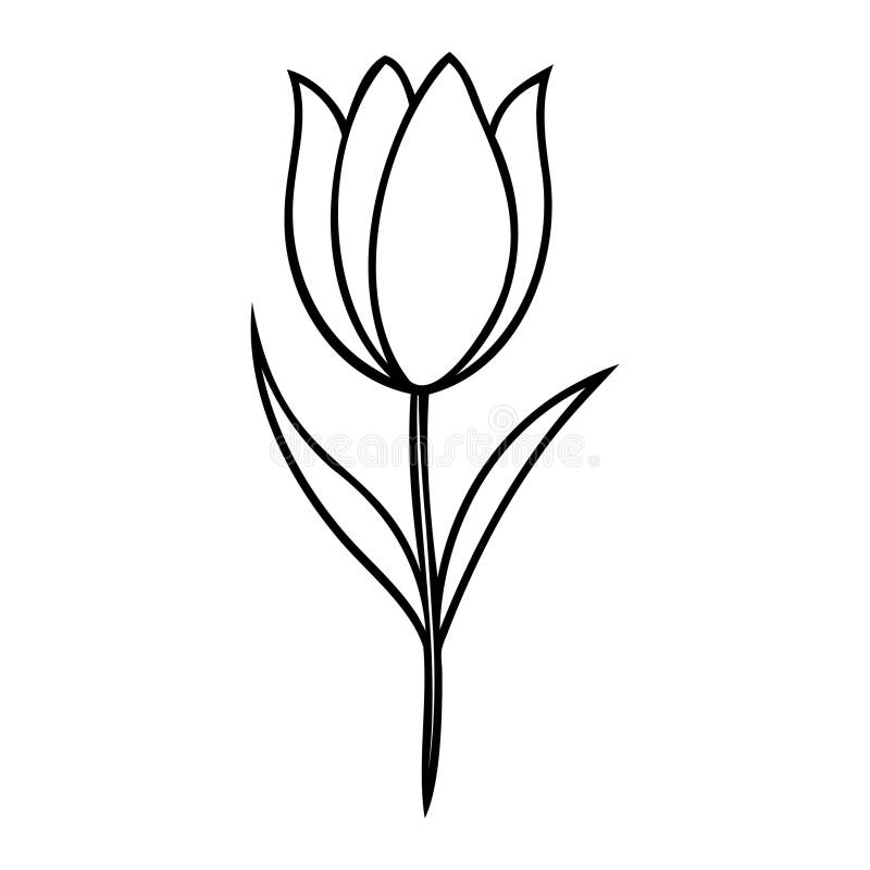Simple Tulip Flower Line Art Doodle Stock Illustration - Illustration ...