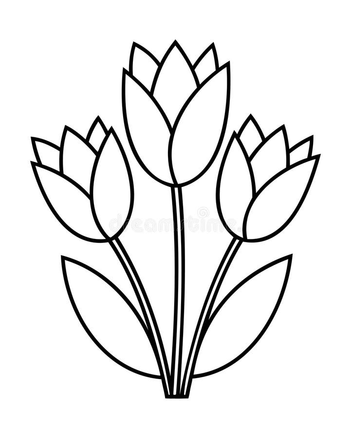 Simple Tulip Line Art Illustration with Three Flowers and Leaves Vector ...