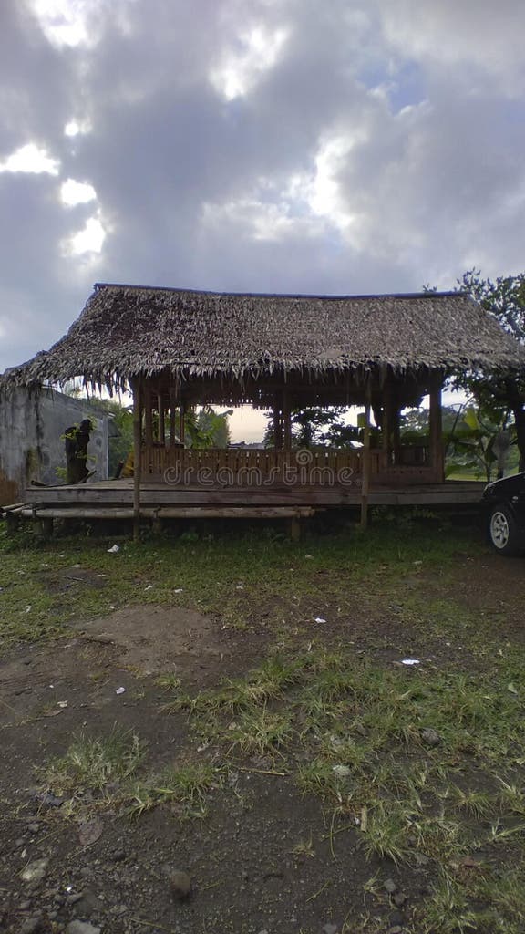 Bamboo Plants Car Stock Photos - Free & Royalty-Free Stock Photos from ...