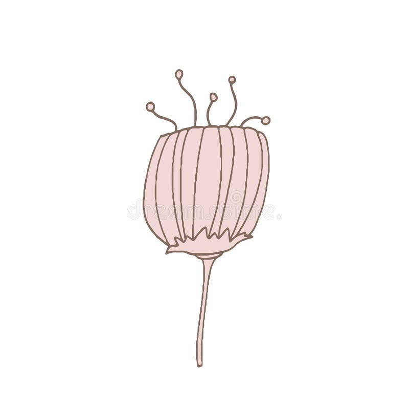 Simple Unusual Flowers Stock Illustrations – 1,038 Simple Unusual ...