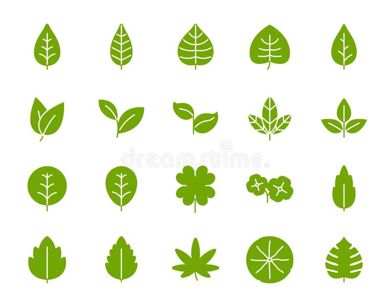 Simple Various Shape Leaf Glyph Icons Set Stock Vector - Illustration ...