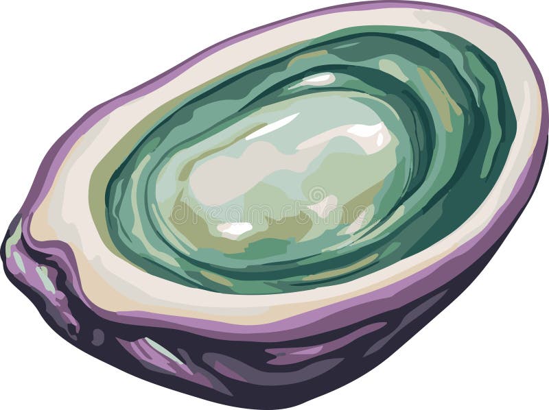 Simple Vector Abalone Clipart Stock Vector - Illustration of simple ...