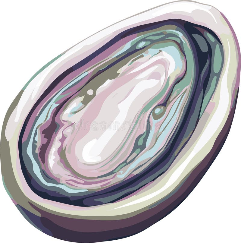 Simple Vector Abalone Clipart Stock Vector - Illustration of flat ...