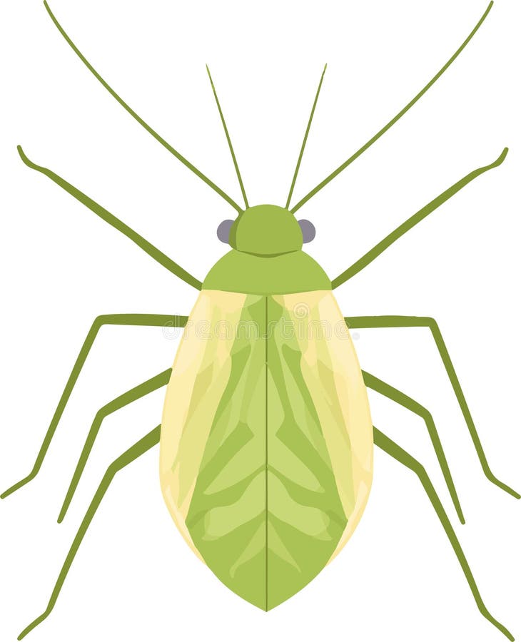 Simple Vector Aphid Clipart Stock Vector - Illustration of basic ...