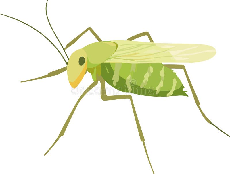 Simple Vector Aphid Clipart Stock Vector - Illustration of bold ...