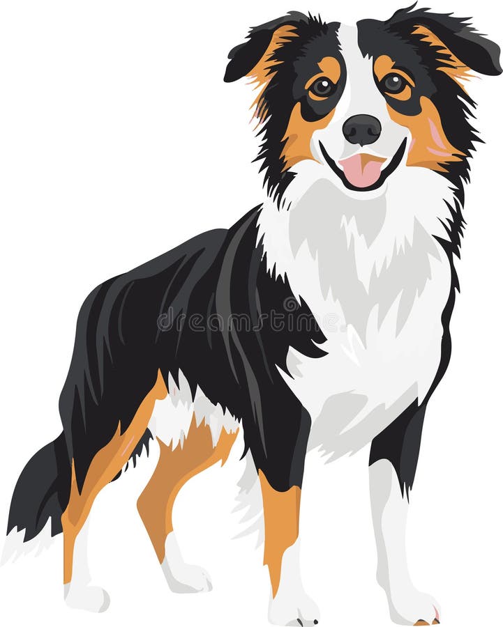 Simple Vector Australian Shepherd Clipart Stock Vector - Illustration ...