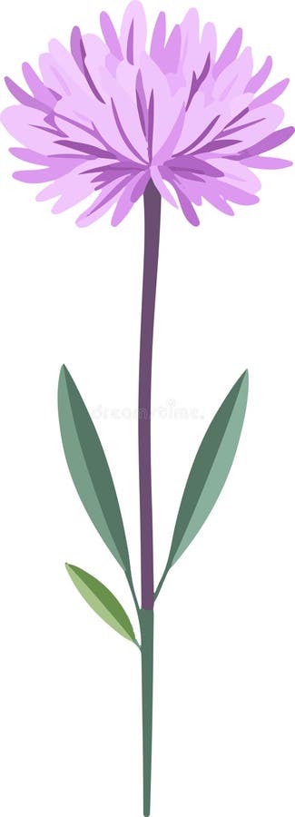 Simple Vector Bachelor Button Clipart Stock Vector - Illustration of ...