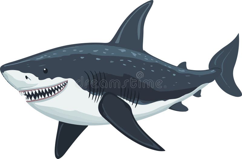 Simple Vector Basking Shark Clipart Stock Vector - Illustration of bold ...