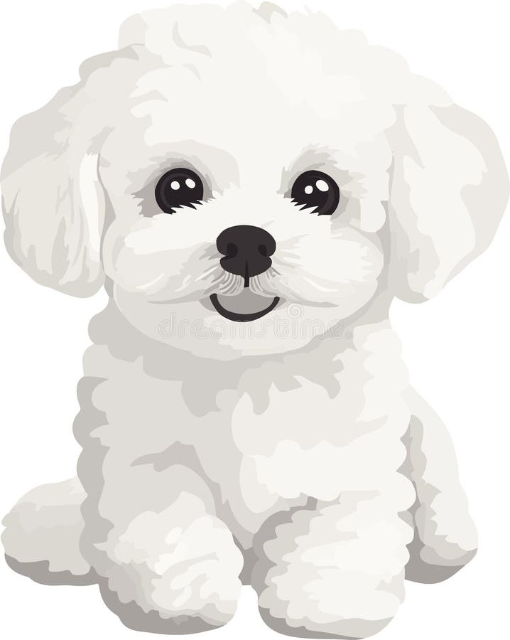 Simple Vector Bichon Frise Clipart Ilustración del Vector - Ilustración ...