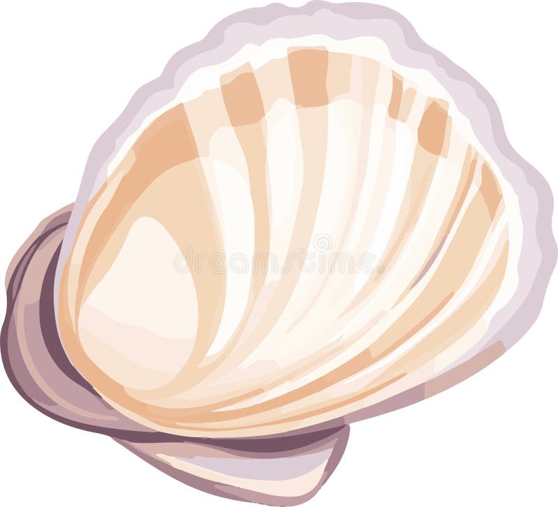 Simple Vector Bivalve Clipart Stock Vector - Illustration of decorative ...