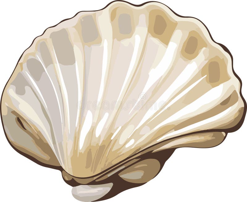 Simple Vector Bivalve Clipart Stock Vector - Illustration of color ...