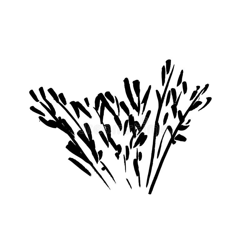 Simple Vector Black Outline Drawing. Bush Sketch Silhouette Stock ...