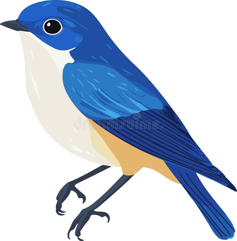 Simple Vector Bluebird Clipart Stock Vector - Illustration of ...