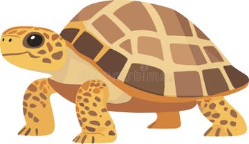 Simple Vector Box Turtle Clipart Stock Vector - Illustration of ...