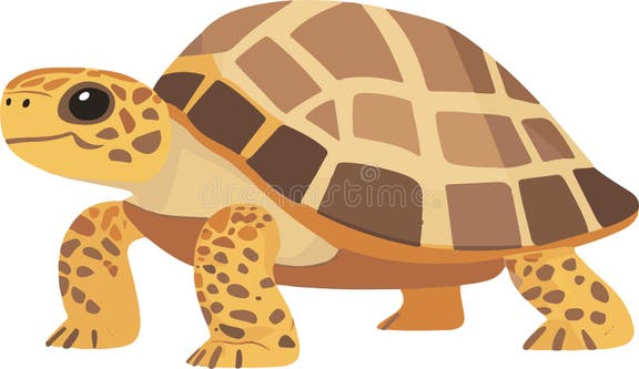 Simple Vector Box Turtle Clipart Stock Vector - Illustration of ...