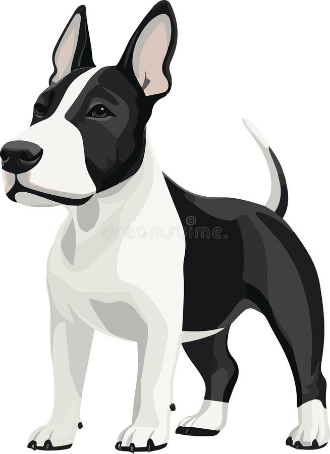 Simple Vector Bull Terrier Clipart Stock Vector - Illustration of ...