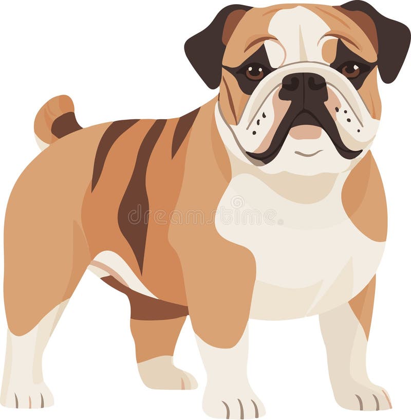 Simple Vector Bulldog Clipart Stock Vector - Illustration of ...