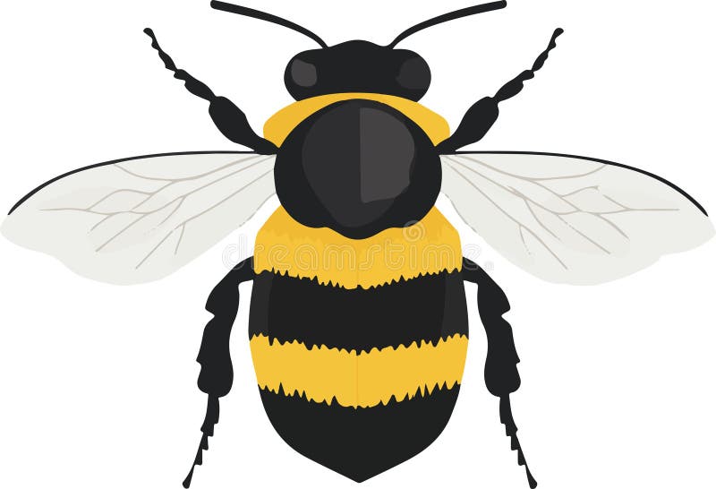 Simple Vector Bumblebee Clipart Stock Vector - Illustration of ...
