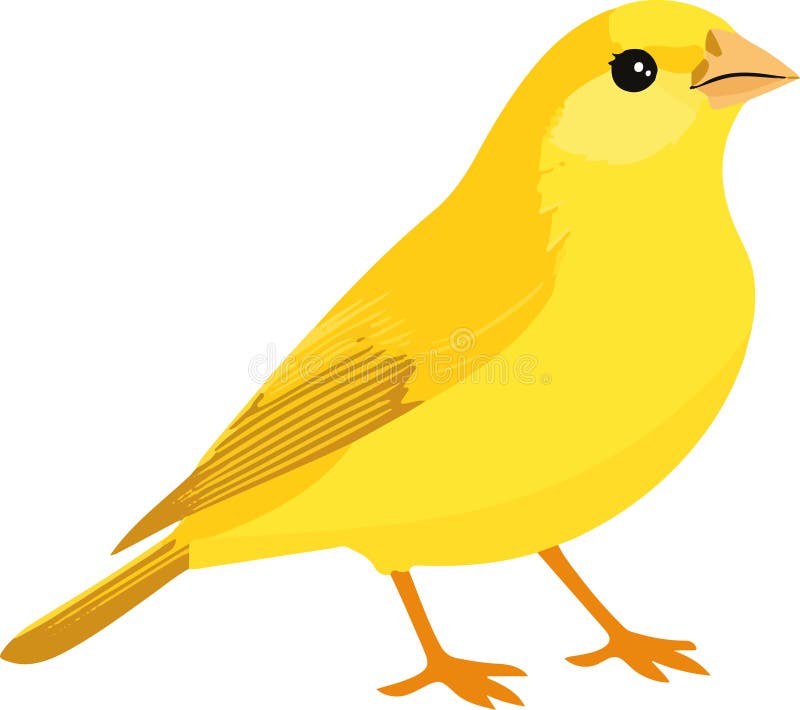 Simple Vector Canary Clipart Stock Vector - Illustration of designs ...
