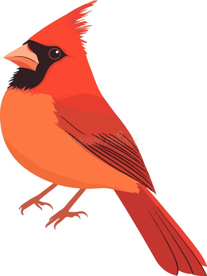 Simple Vector Cardinal Clipart Ilustración del Vector - Ilustración de ...