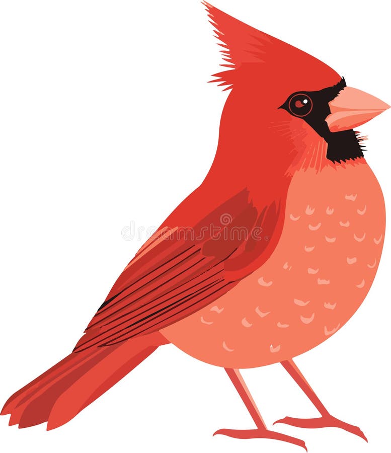 Simple Vector Cardinal Clipart Stock Vector - Illustration of graphics ...