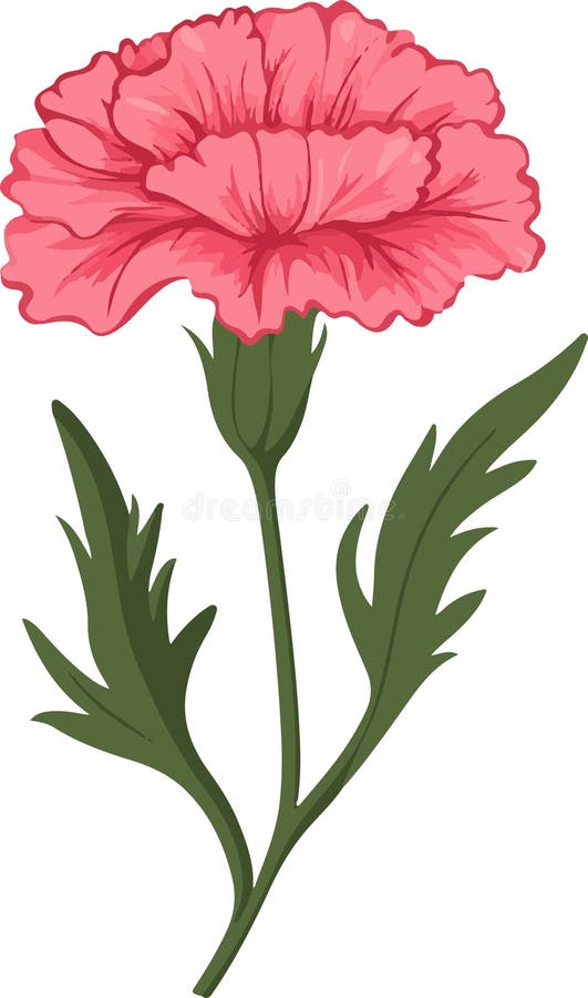 Simple Vector Carnation Clipart Stock Vector - Illustration of style, carnation: 350474854