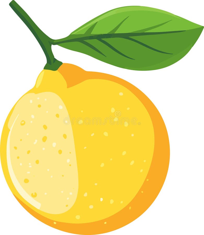 Simple Vector Citron Clipart Stock Vector - Illustration of ...