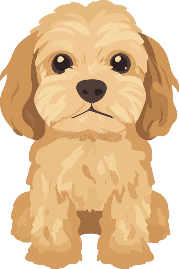 Cockapoo Cartoon Stock Illustrations – 119 Cockapoo Cartoon Stock ...