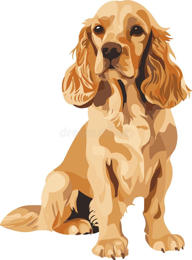 Simple Vector Cocker Spaniel Clipart Stock Vector - Illustration of ...