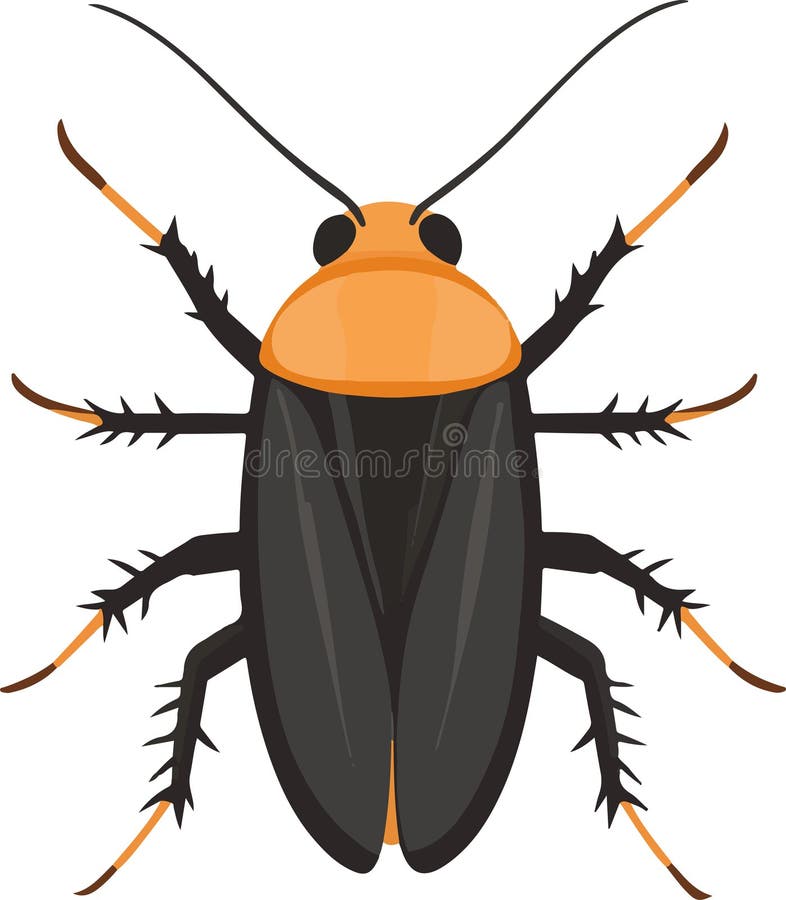 Simple Vector Cockroach Clipart Stock Vector - Illustration of graphics ...