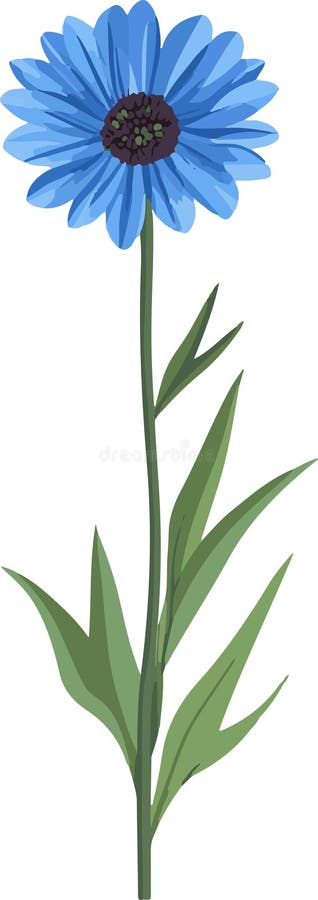 Simple Vector Cornflower Clipart Stock Vector - Illustration of ...