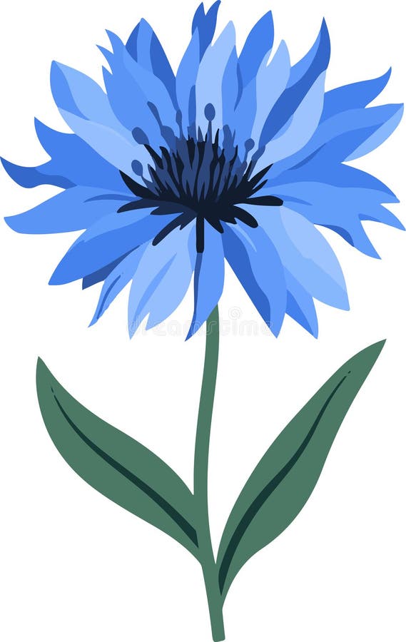Simple Vector Cornflower Clipart Stock Vector - Illustration of flat ...