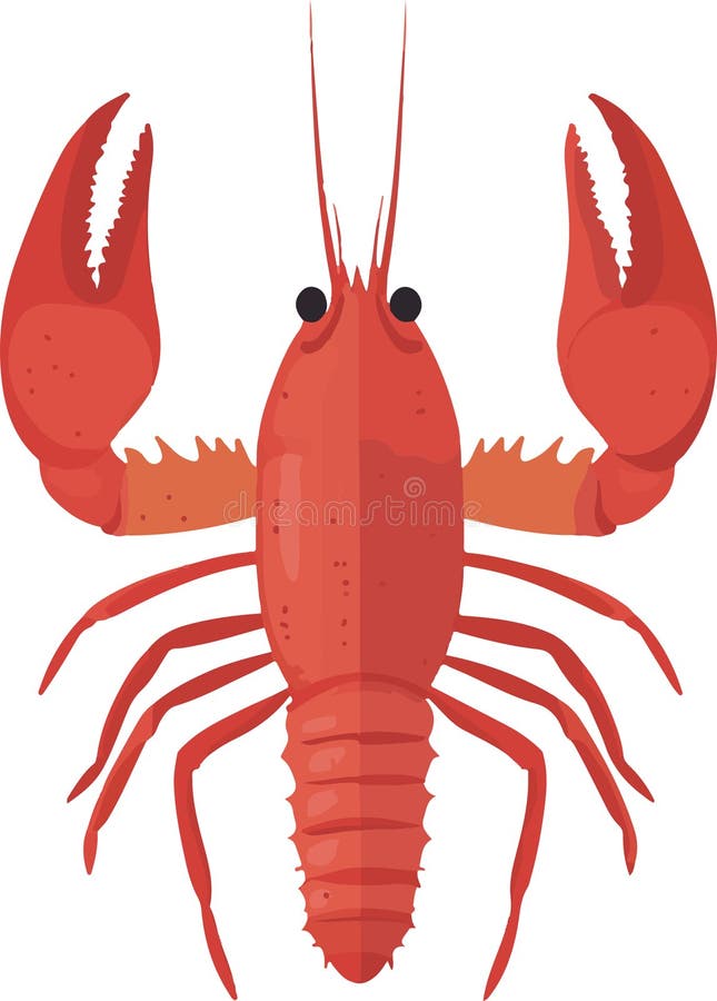 Simple Vector Crayfish Clipart Stock Vector - Illustration of vector ...