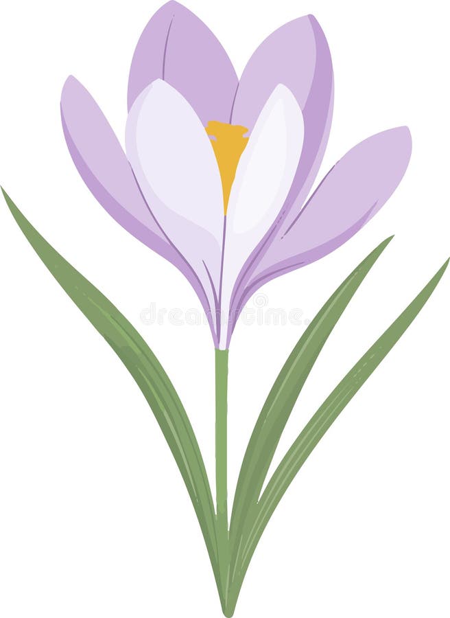 Simple Vector Crocus Clipart Stock Vector - Illustration of style ...