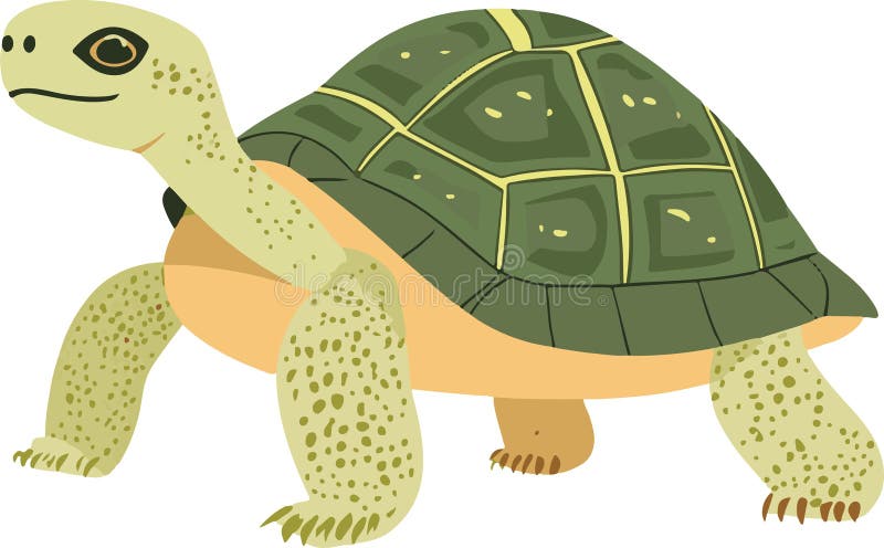 Simple Vector Desert Tortoise Clipart Stock Vector - Illustration of ...