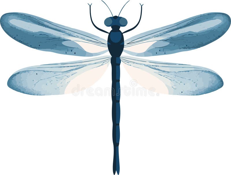 Simple Vector Dragonfly Clipart Stock Vector - Illustration of cartoon ...