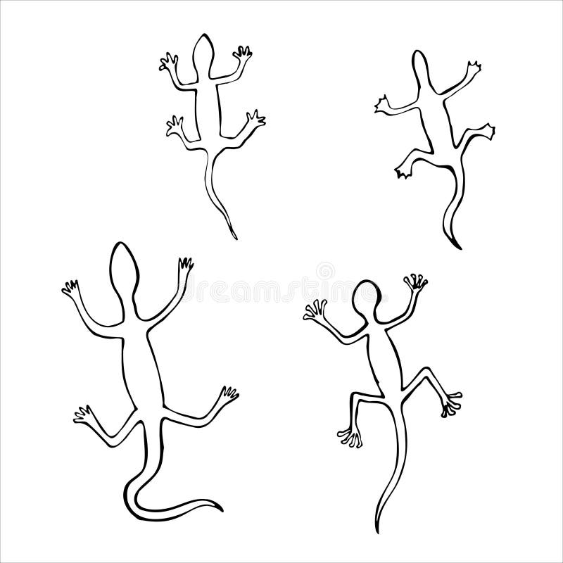 Simple Vector Drawing of Lizards on a White Background. Four Species of ...