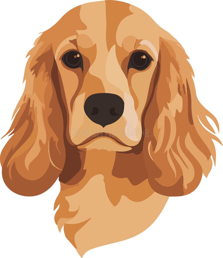 Simple Vector English Cocker Spaniel Clipart Stock Vector ...