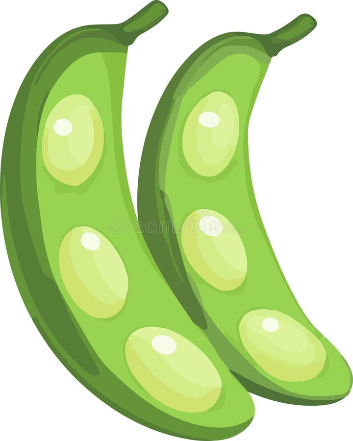 Simple Vector Fava Bean Clipart Stock Vector - Illustration of ...