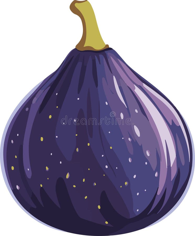 Simple vector fig clipart stock vector. Illustration of kids - 350476133