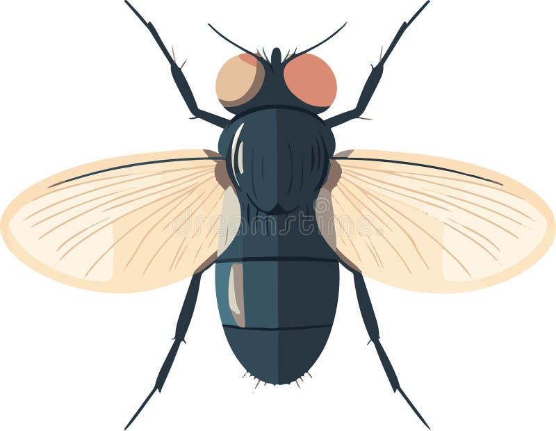Simple vector fly clipart stock vector. Illustration of digital - 350476260