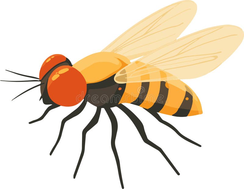 Simple Vector Fruit Fly Clipart Stock Vector - Illustration of kids ...