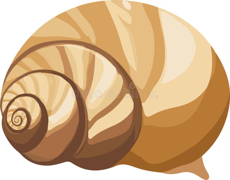 Simple Vector Gastropod Clipart Stock Vector - Illustration of graphic ...
