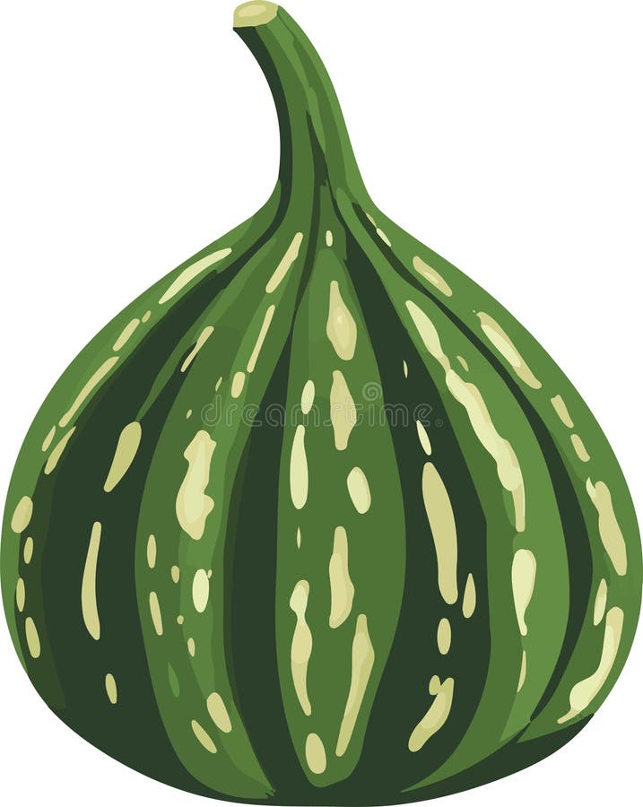 Simple Vector Gourd Clipart Stock Vector - Illustration of modern ...