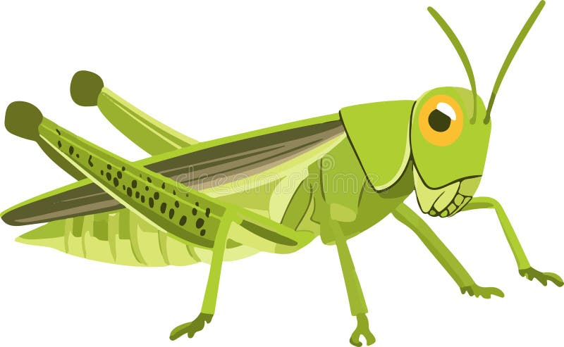 Simple Vector Grasshopper Clipart Stock Vector - Illustration of designs, modern: 350476547