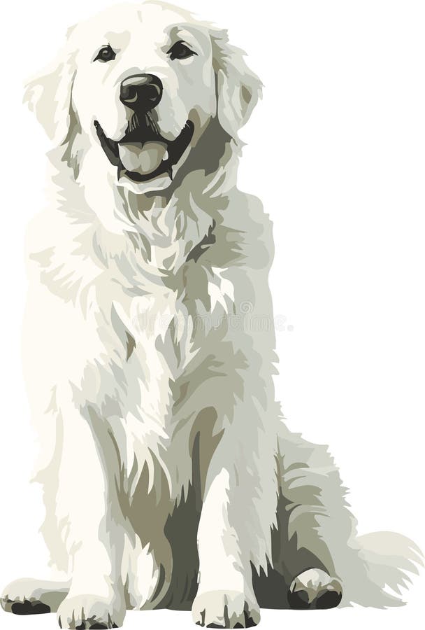 Simple Vector Great Pyrenees Clipart Stock Vector - Illustration of ...