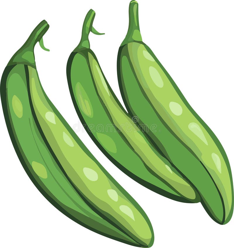Simple Vector Green Bean Clipart Stock Vector - Illustration of designs, bold: 350476599