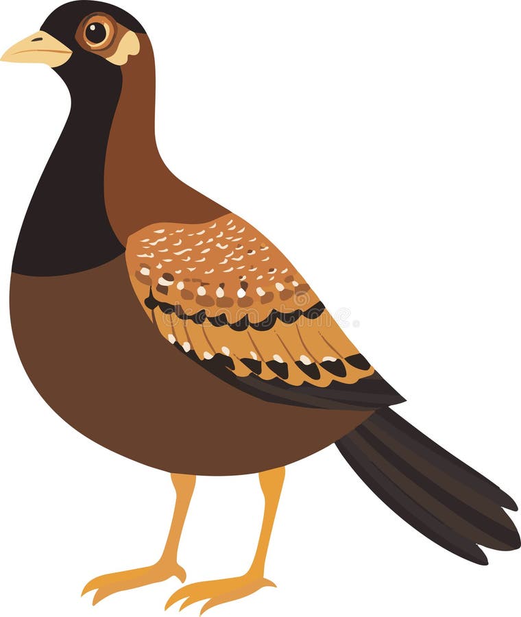 Simple Vector Grouse Clipart Stock Vector - Illustration of digital ...