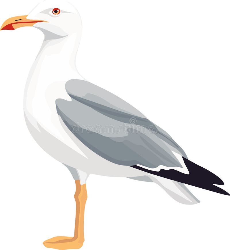 Simple vector gull clipart stock vector. Illustration of professional ...